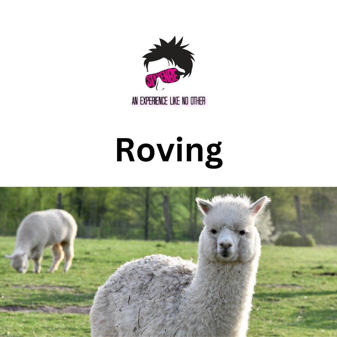 Roving braids – StevenBe